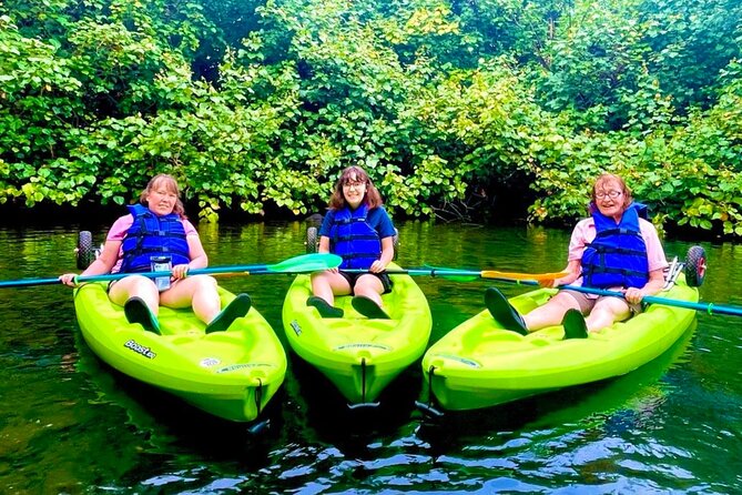Wailoa River to King Kamehameha Statue Kayak Adventure - Why This Tour Offers Good Value