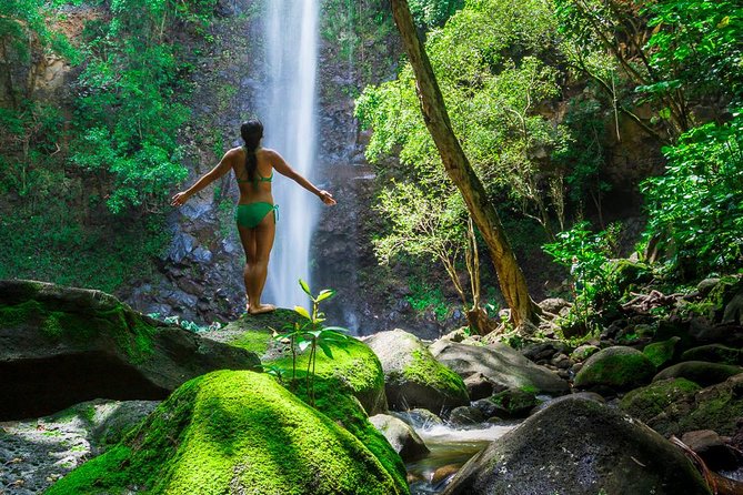 Wailua River Kayak and Sacred Falls Hike With Lunch - Authentic Reviews to Know