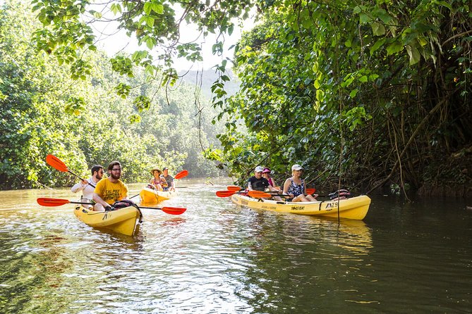 Wailua River Paddle - The Experience in Detail