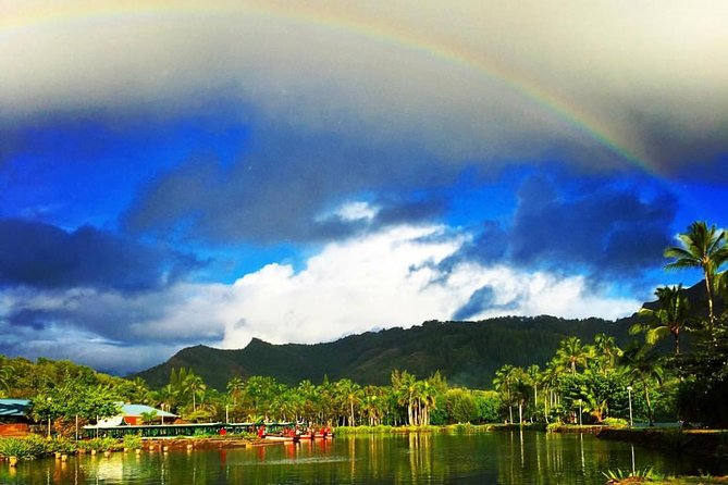 Wailua River & Waterfalls Kayak Tour: Expert-Guided Adventure - What to Expect on the Water