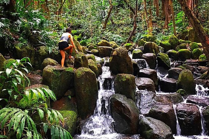 Wailua River & Waterfalls Kayak Tour: Expert-Guided Adventure - The Waterfall and Lunch Break