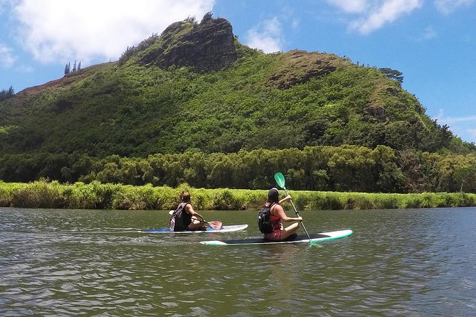 Wailua River & Waterfalls Kayak Tour: Expert-Guided Adventure - The Return Trip: Trail and River