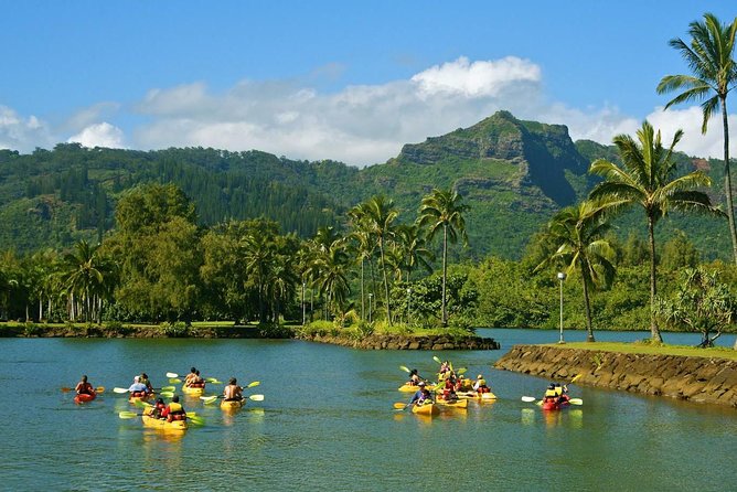 Wailua River & Waterfalls Kayak Tour: Expert-Guided Adventure - Who Will Love This Tour?