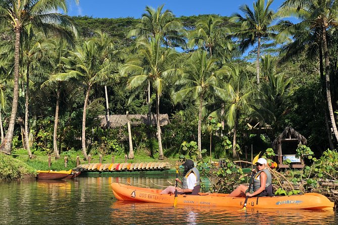 Wailua River & Waterfalls Kayak Tour: Expert-Guided Adventure - Is the Value Worth the Price?
