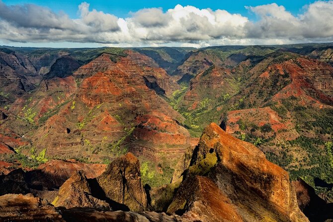 Waimea Canyon Private Tour with Local Guide from Kauai - Transportation and Guide Experience