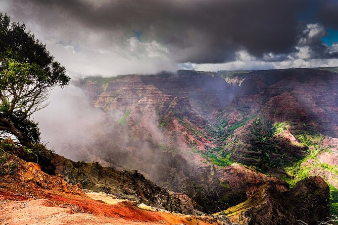 Waimea Canyon Private Tour with Local Guide from Kauai - Cost and Value Analysis