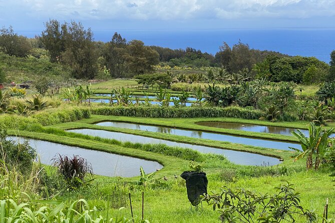 Waipio on Horseback: Mountain Ocean Views Working Cattle Ranch - The Itinerary in Detail