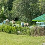 Waipio on Horseback: Mountain Ocean Views Working Cattle Ranch - Practical Details