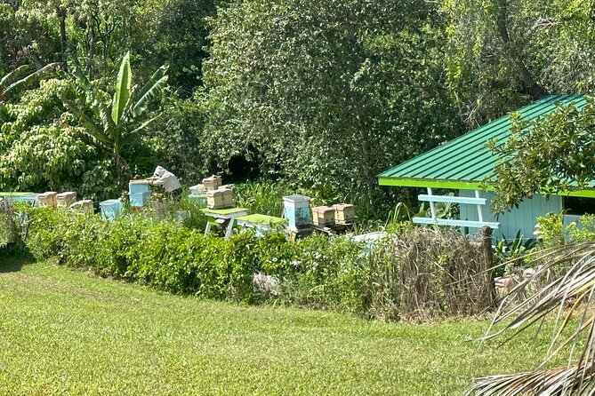 Waipio on Horseback: Mountain Ocean Views Working Cattle Ranch - Practical Details