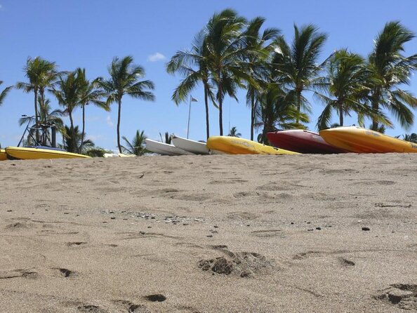 Wake Up With the Whales Cruise from Anaeho'omalu Bay - Key Points