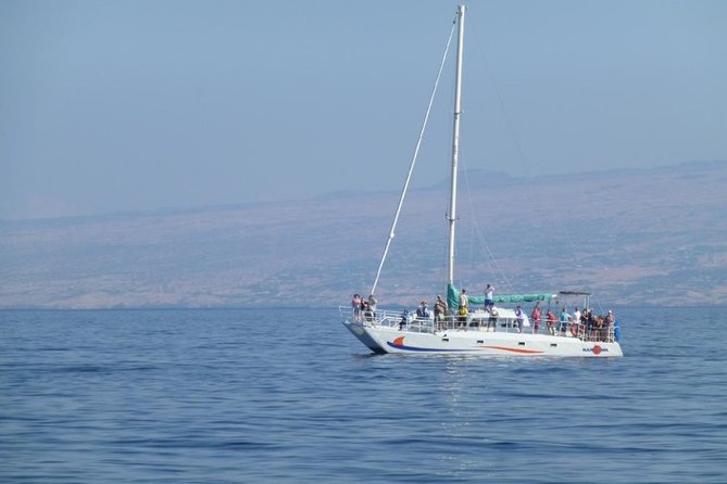 Wake Up With the Whales Cruise from Anaeho'omalu Bay - Snacks, Drinks, and Atmosphere