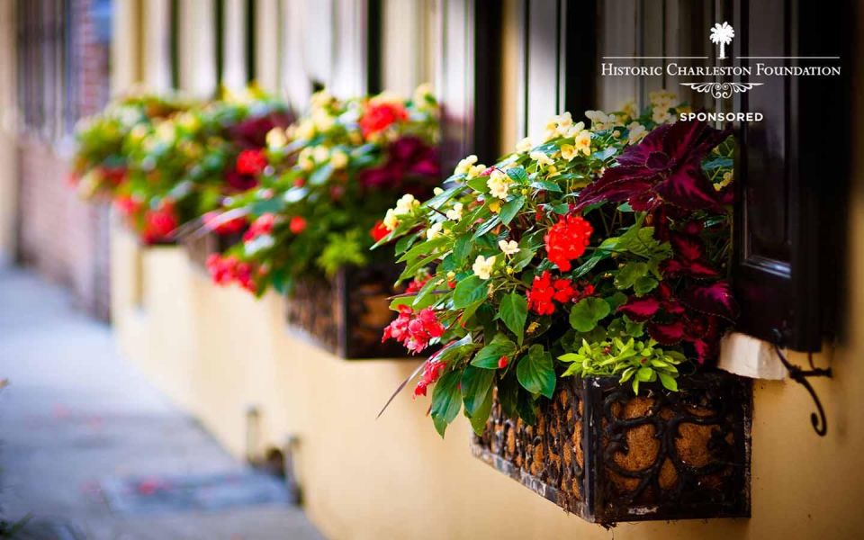 Walking history tour Charleston SC - Why This Tour Is a Great Fit