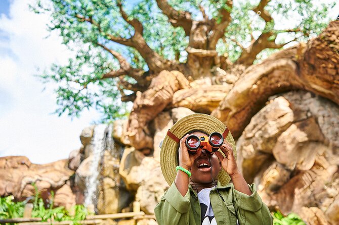 Walt Disney World Resort Base Ticket - Introduction: Is the Walt Disney World Resort Base Ticket Right for You?