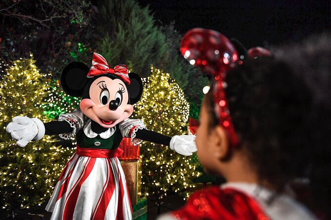 Walt Disney World Special Event Tickets - What Does the Experience Actually Look Like?