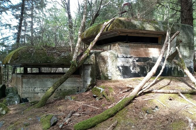 War Bunkers and Wildlife Kayak Tour in Sitka, Alaska - An Authentic Look at the Experience