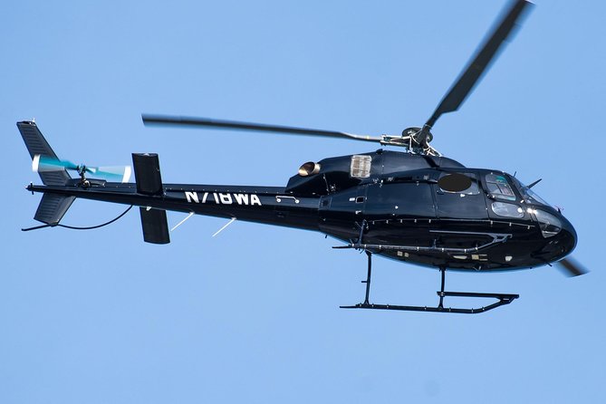 Washington D.C. Day Trip from Manhattan by Helicopter - What to Expect from the Helicopter Experience