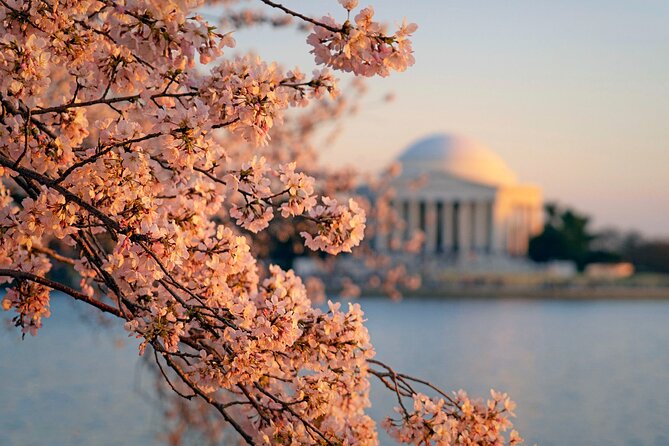 Washington D.C.& Philadelphia 2-Day Tour from New York City - Who Will Love This Tour?
