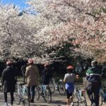 Washington DC Cherry Blossoms By Bike Tour - Price and Value