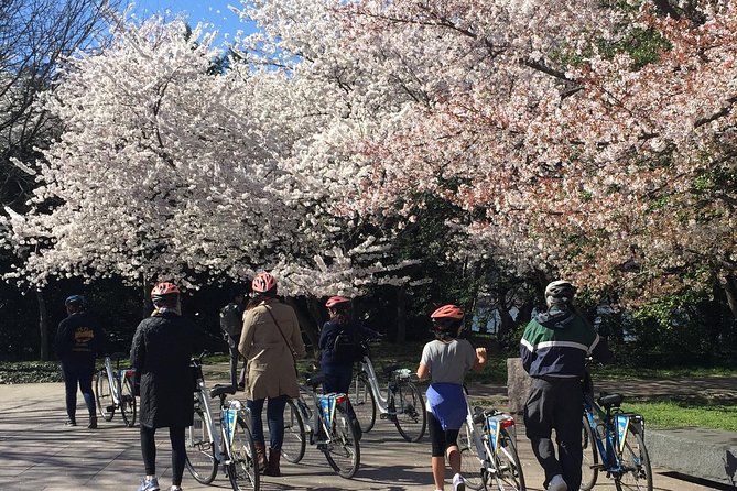 Washington DC Cherry Blossoms By Bike Tour - Price and Value