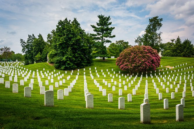 Washington DC Day Tour from New York City - The Itinerary: What to Expect