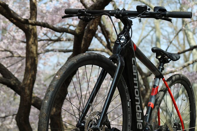 Washington DC eBike Rentals - The Realities of Bike Condition and Usage