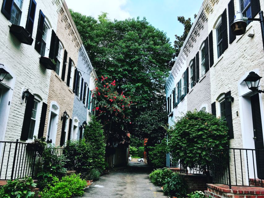 Washington, DC: Georgetown Architecture Walking Tour - Academic and Cultural Landmarks
