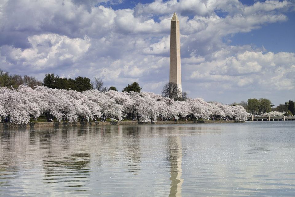 Washington DC: Half-Day Bus Tour with Optional Museum Ticket - Who Will Benefit Most from This Tour