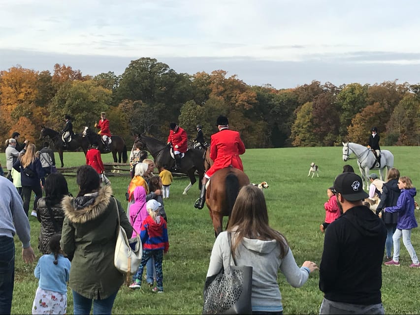 Washington DC: Mount Vernon Half-Day Tour - Who Will Love This Tour?
