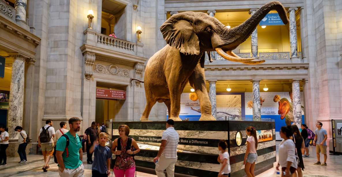 Washington DC: Museum of Natural History Private Guided Tour - Detailed Breakdown of the Tour Experience