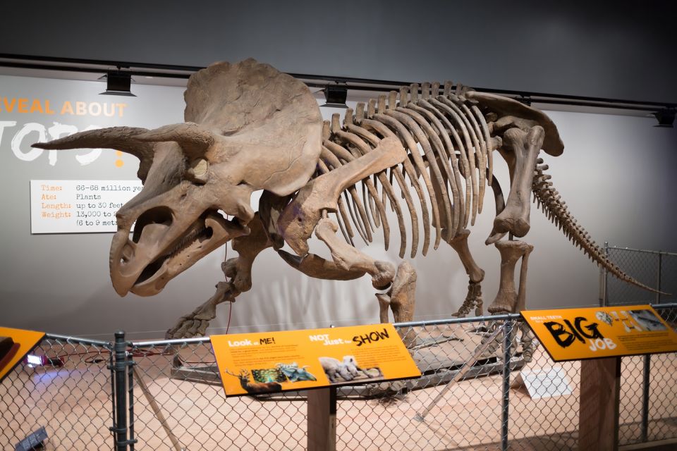 Washington DC: Museum of Natural History Private Guided Tour - Who Should Consider This Tour?