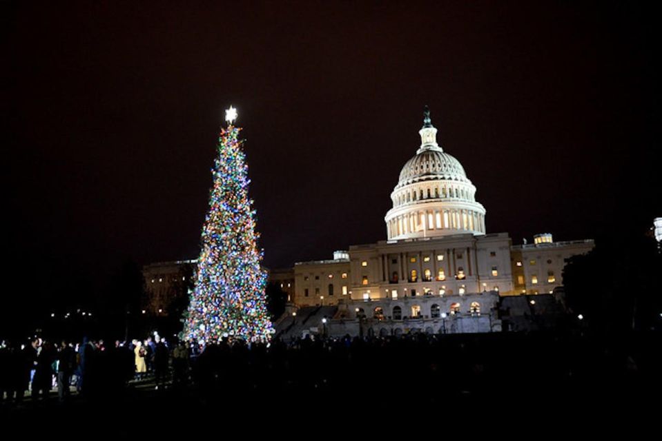 Washington, DC: National Mall and Memorials Moonlight Tour - A Visual Feast of Washington’s Nighttime Landmarks