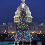 Washington, DC: National Mall and Memorials Moonlight Tour - The Itinerary: What Youll See and Experience