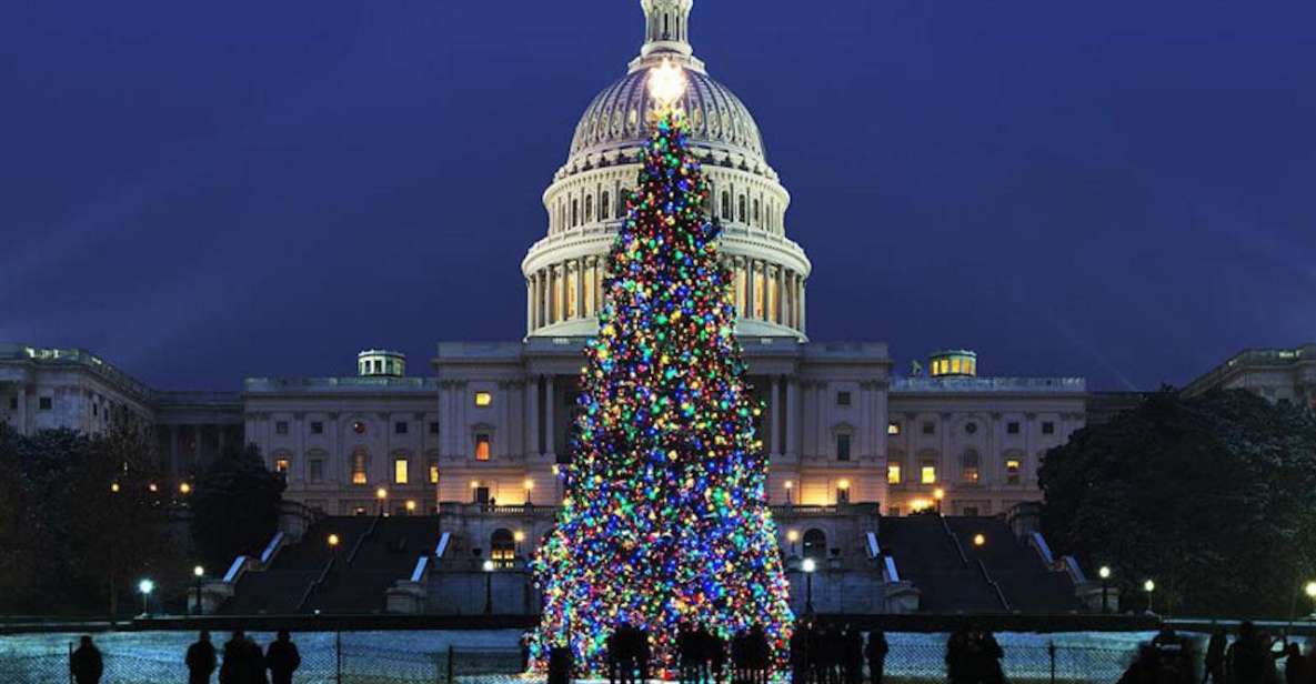 Washington, DC: National Mall and Memorials Moonlight Tour - The Itinerary: What Youll See and Experience