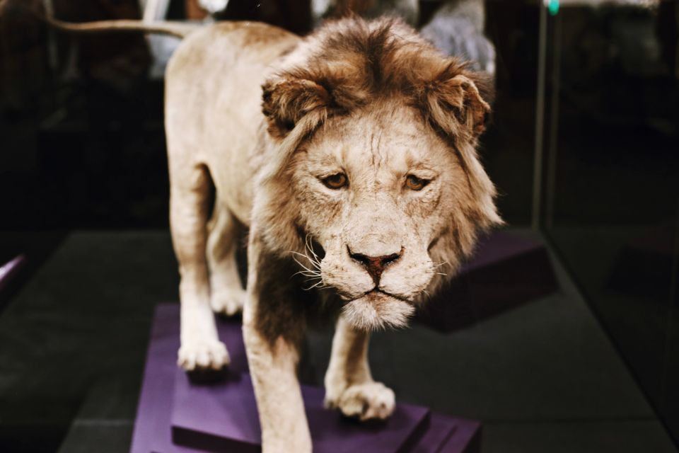 Washington DC: National Museum of Natural History Tour - Final Thoughts