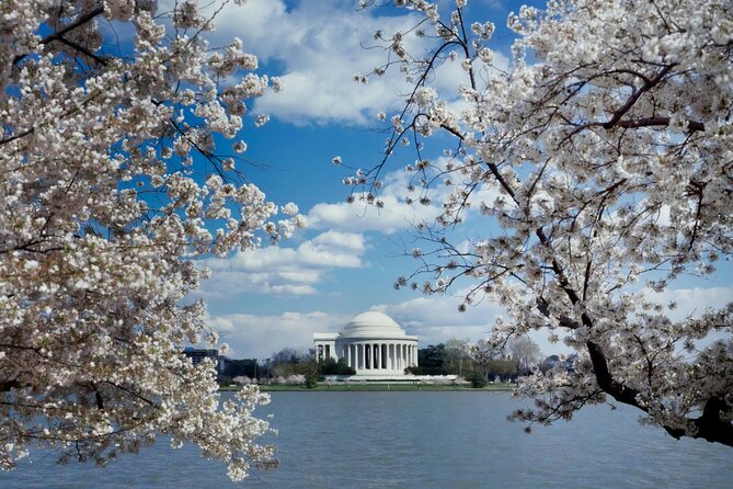 Washington DC Private Tour with Luxury SUV and Tour Guide - Frequently Asked Questions