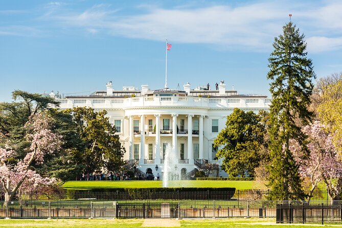 Washington DC Sight Seeing Private Tour-English or Spanish Option - Practical Insights from Reviewers and Tour Features
