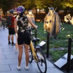 Washington DC Sites at Night Guided Bicycle Tour - Final Thoughts