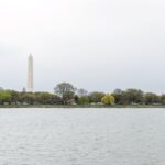 Washington DC Unlimited Two Day Water Taxi Pass - Additional Features & Practical Tips
