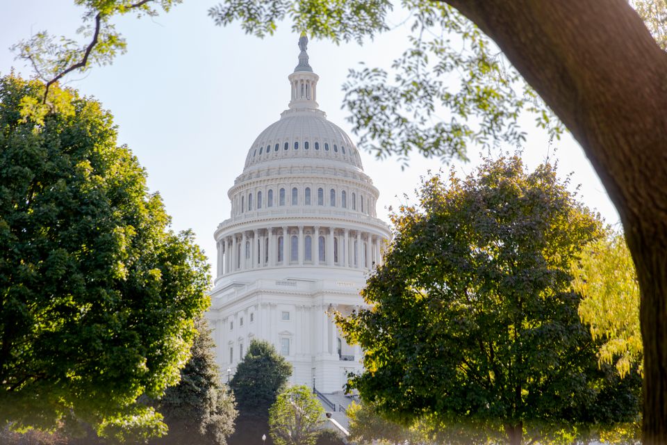 Washington DC: Washington Monument Entry & DC Highlights - Why This Tour Offers Good Value