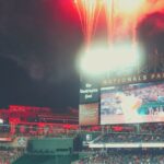 Washington Nationals Baseball Game Ticket at Nationals Park - Who Is This Tour Best Suited For?