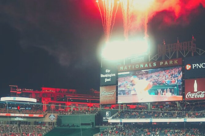 Washington Nationals Baseball Game Ticket at Nationals Park - Who Is This Tour Best Suited For?