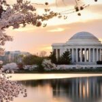 Washington : Private Custom Walking Tour With A Guide (Private) - Frequently Asked Questions