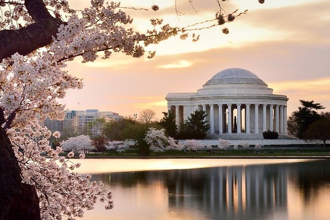 Washington : Private Custom Walking Tour With A Guide (Private) - Frequently Asked Questions