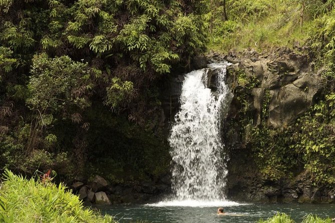 Waterfall and Rainforest Adventure - Exploring the Waterfall and Rainforest Adventure on Maui