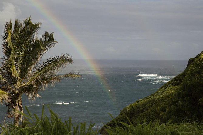 Waterfall and Rainforest Adventure - Key Points
