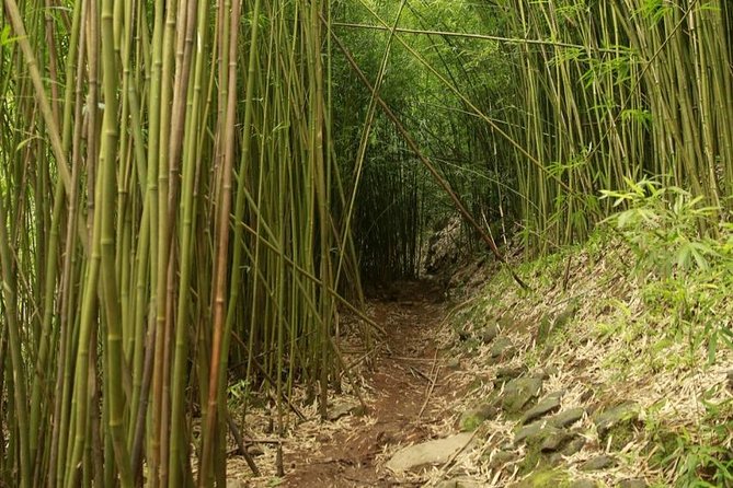 Waterfall and Rainforest Adventure - In-Depth Look at the Itinerary