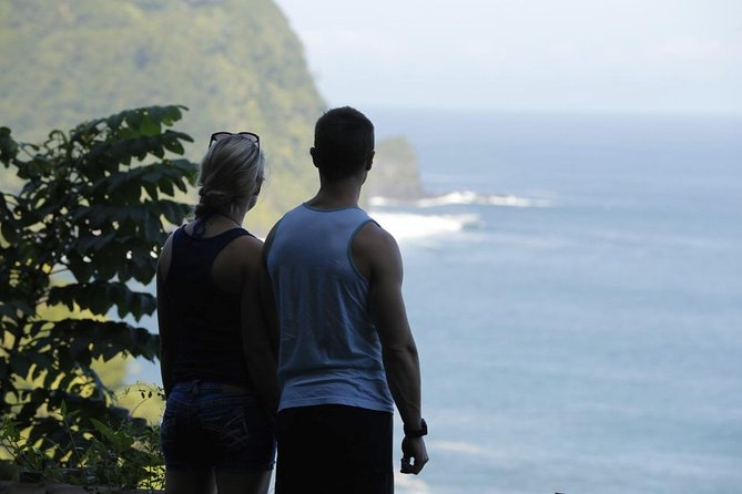 Waterfall and Rainforest Adventure - Authentic Insights from Reviews