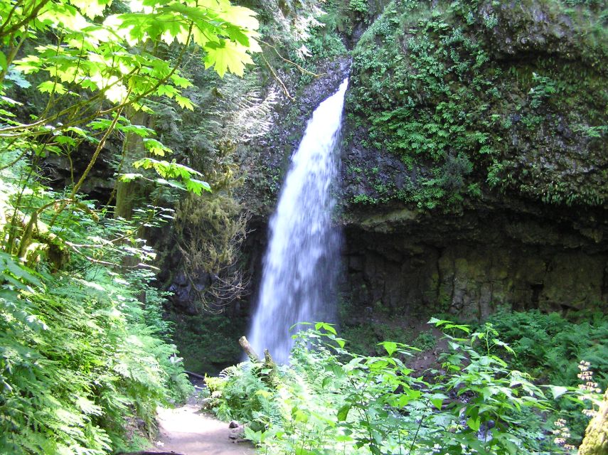 Waterfall Express -PDX: Waterfall Trolley Tickets + Transfer - Transportation & Logistics: Simple, Reliable, and Comfortable
