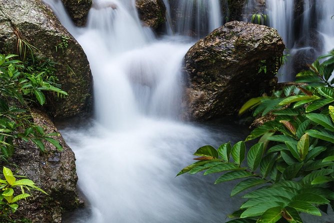 Waterfall, First One On The Road to Hana, Chocolate tour - Authentic Insights from Reviewers