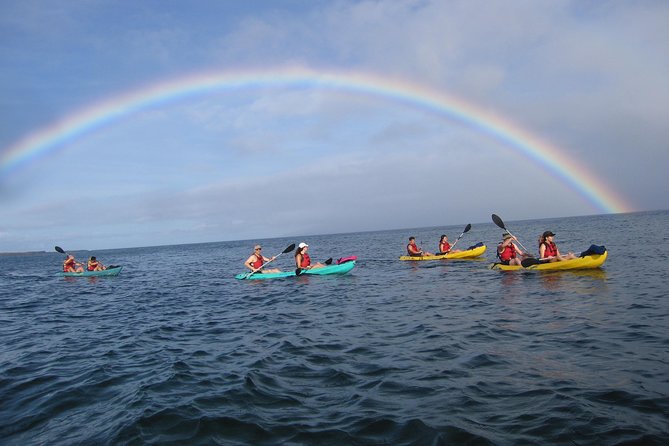Waterfall Hike and Kayak Snorkel & Paddle from Makena - What Makes This Tour Stand Out?